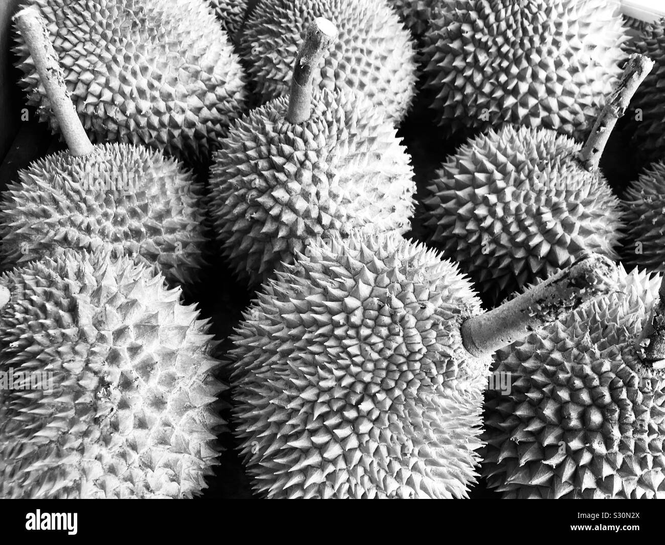 Eating durian fruit Black and White Stock Photos & Images - Alamy