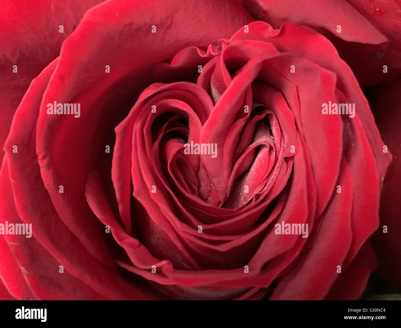 Even heart hi-res stock photography and images - Alamy