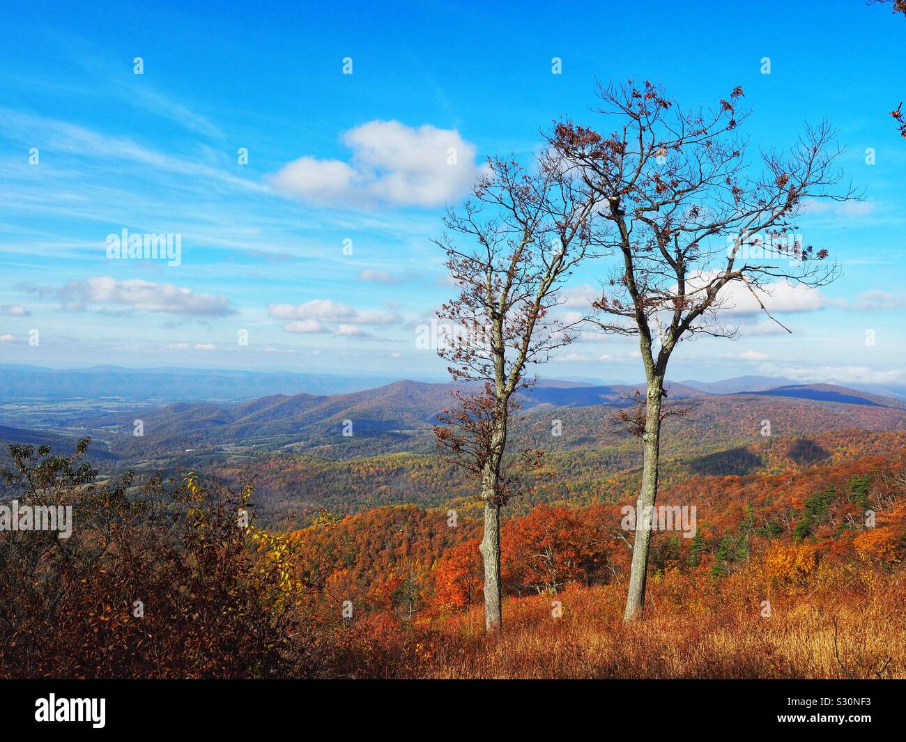 Shenandoah National Park Stock Photo - Alamy