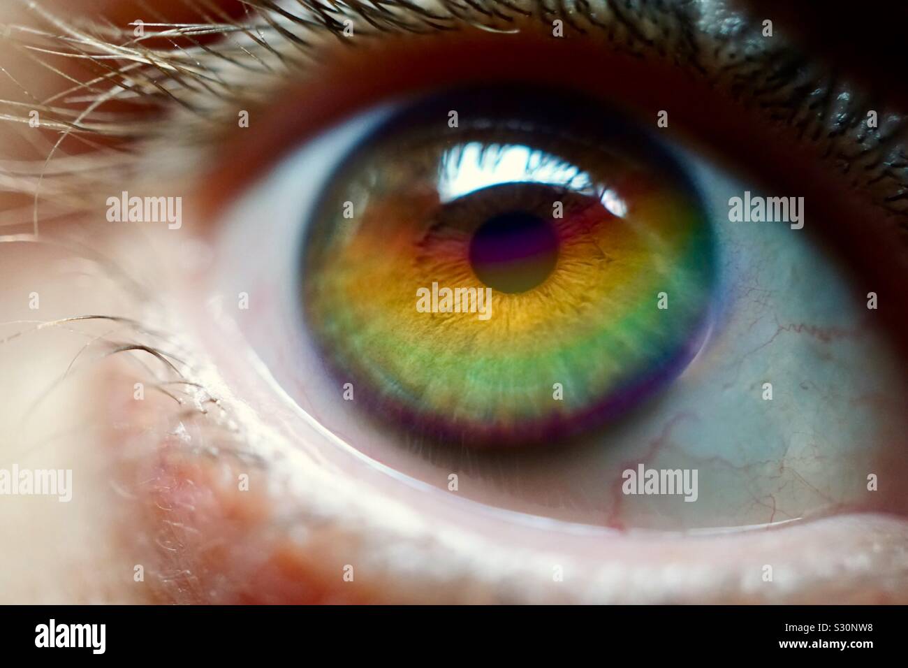 Rainbow eye hi-res stock photography and images - Alamy