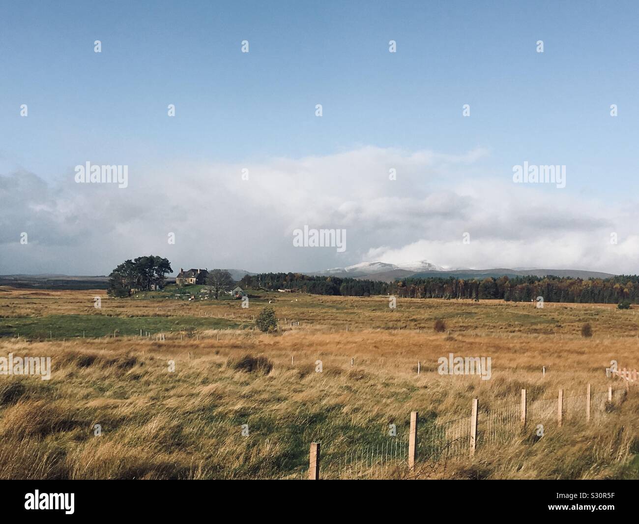 Tongue by lairg hi-res stock photography and images - Alamy