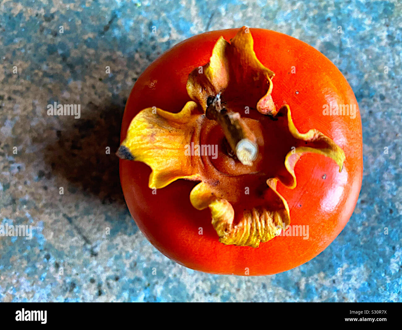 Ripe persimmon, top view Stock Photo - Alamy
