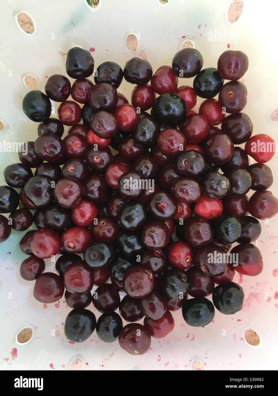 Bird Cherries High Resolution Stock Photography and Images - Alamy