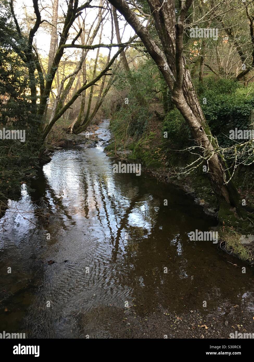 The lagunitas hi-res stock photography and images - Alamy