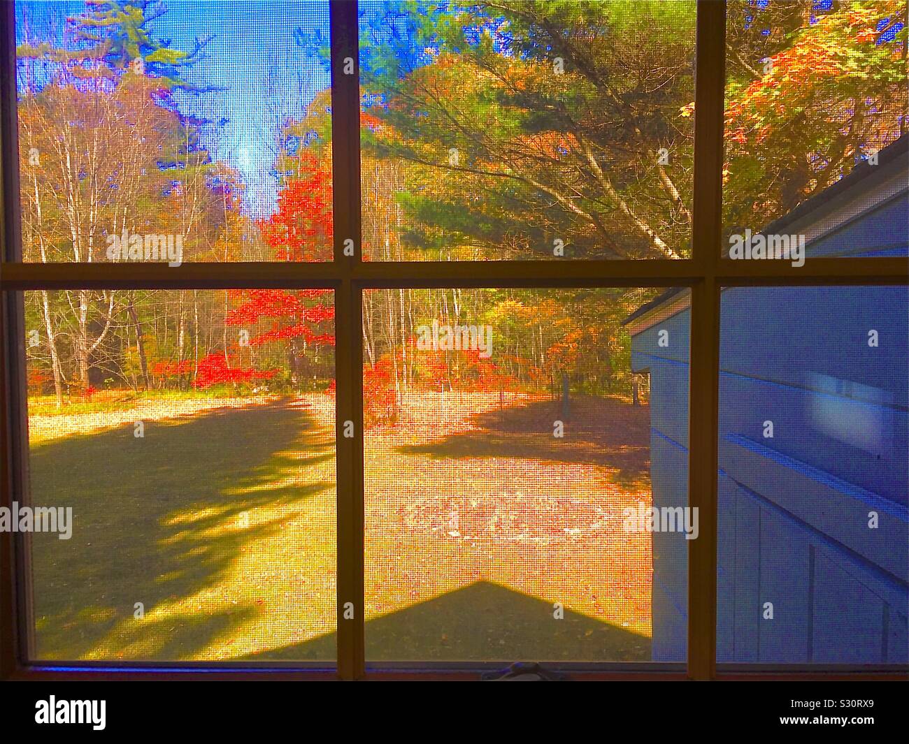 My back window Stock Photo - Alamy