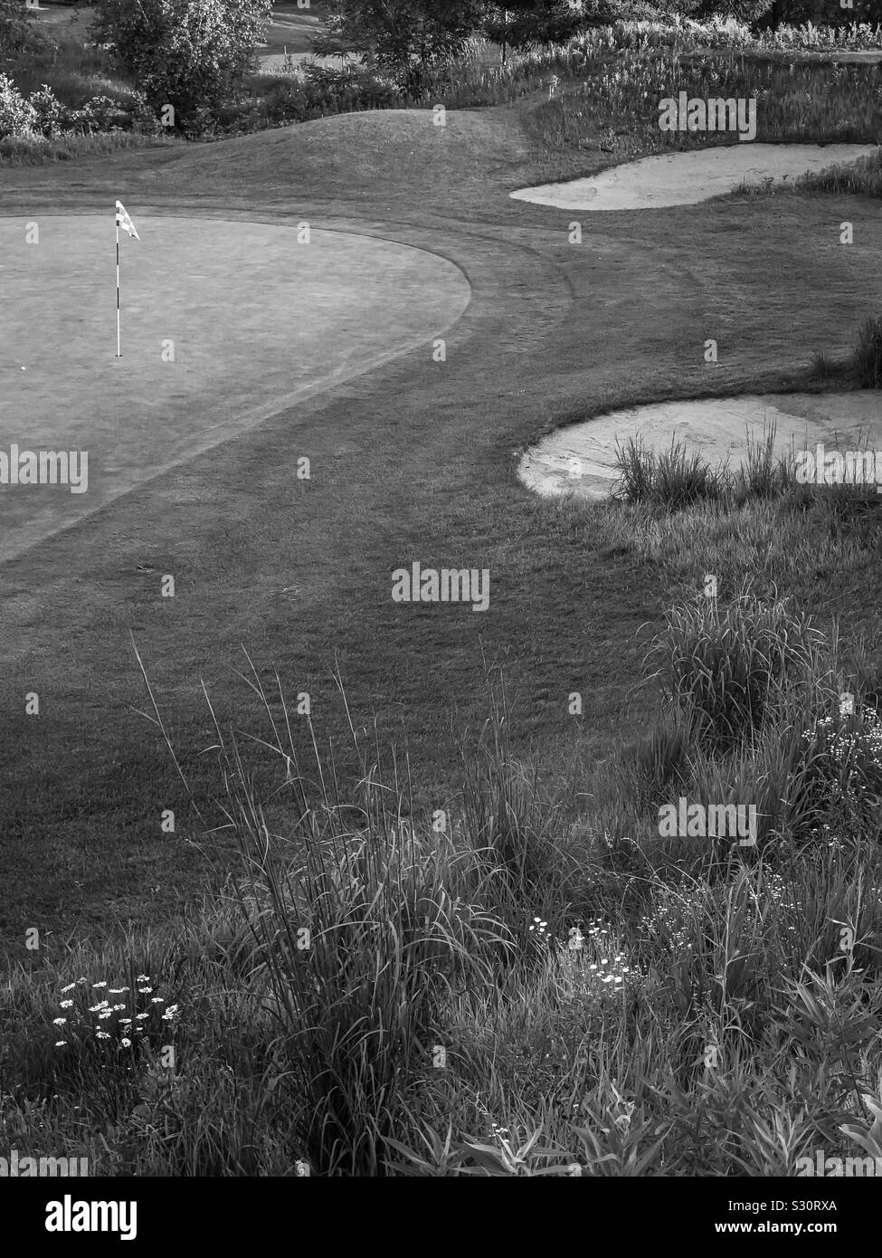 Golf Course Black and White Stock Photos & Images - Alamy