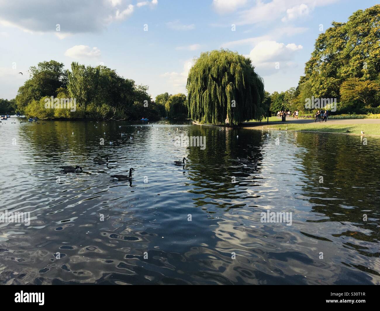 Regents park nature hi-res stock photography and images - Alamy