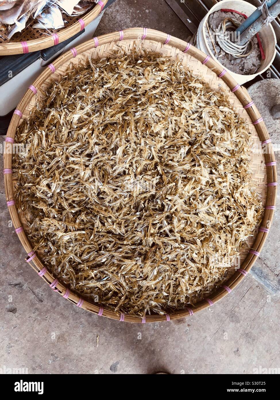 Whiting fish hi-res stock photography and images - Alamy