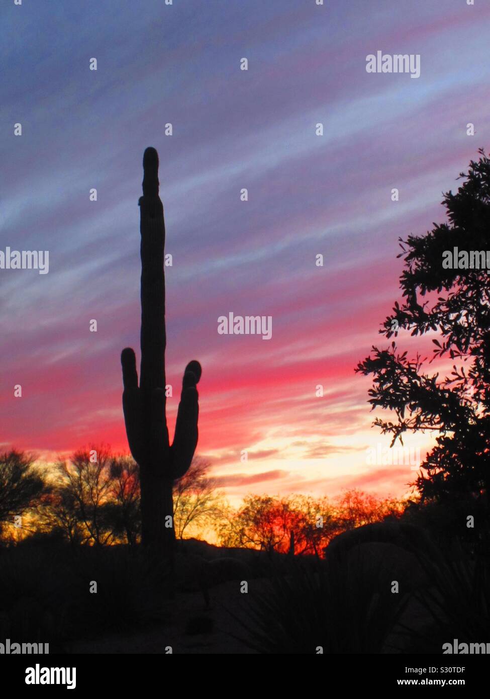 Vivid sunset sky hi-res stock photography and images - Alamy