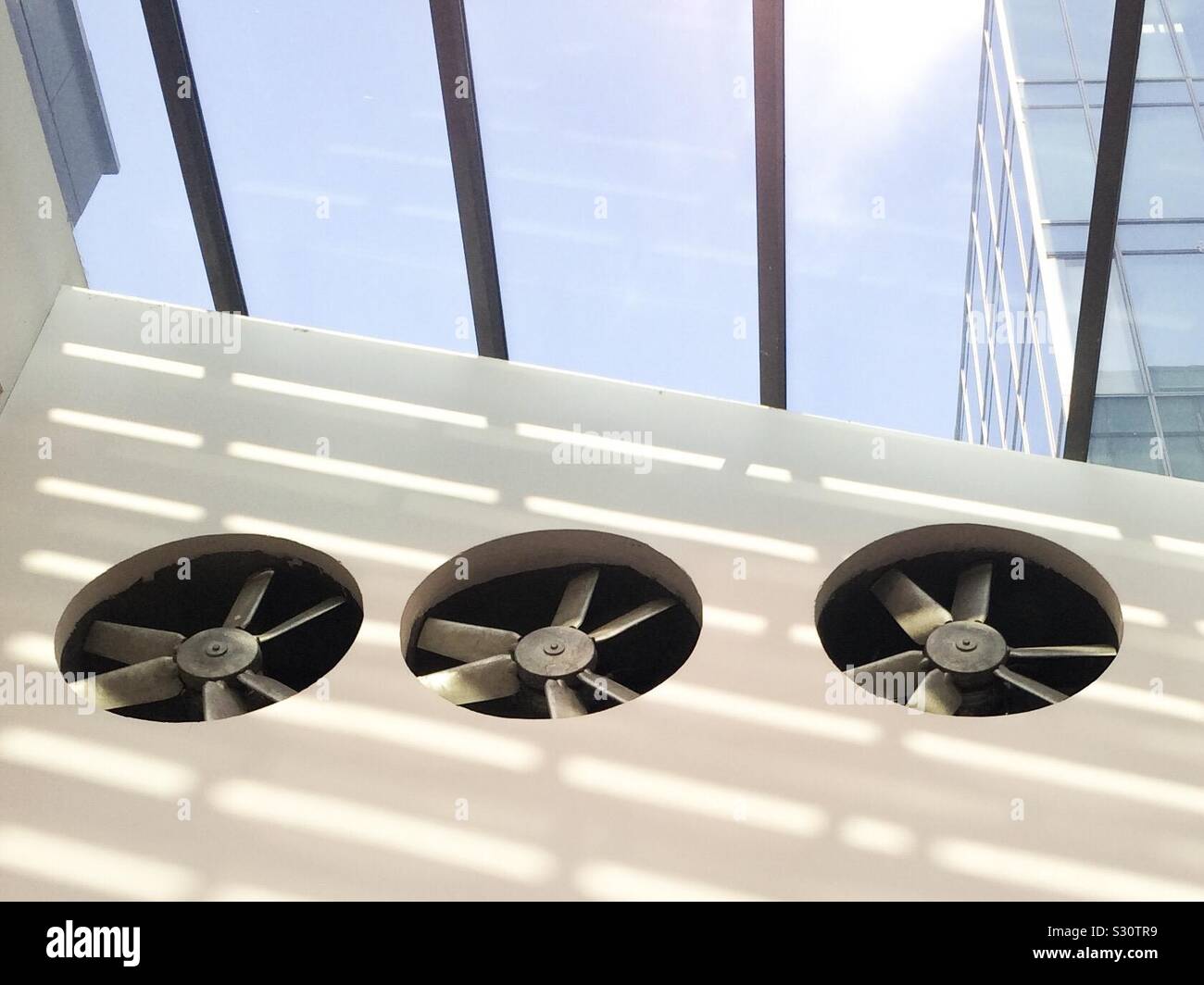 Three industrial size large fans and skylight as dramatic interior ...