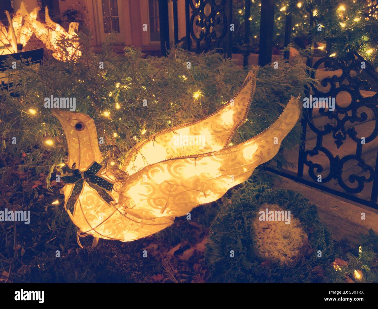 Christmas dove light decoration Stock Photo - Alamy