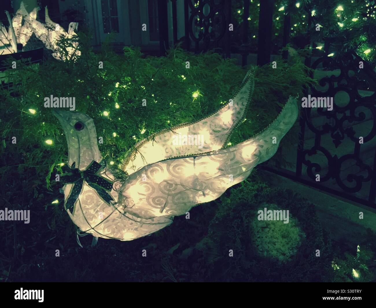 Christmas dove light decoration Stock Photo - Alamy