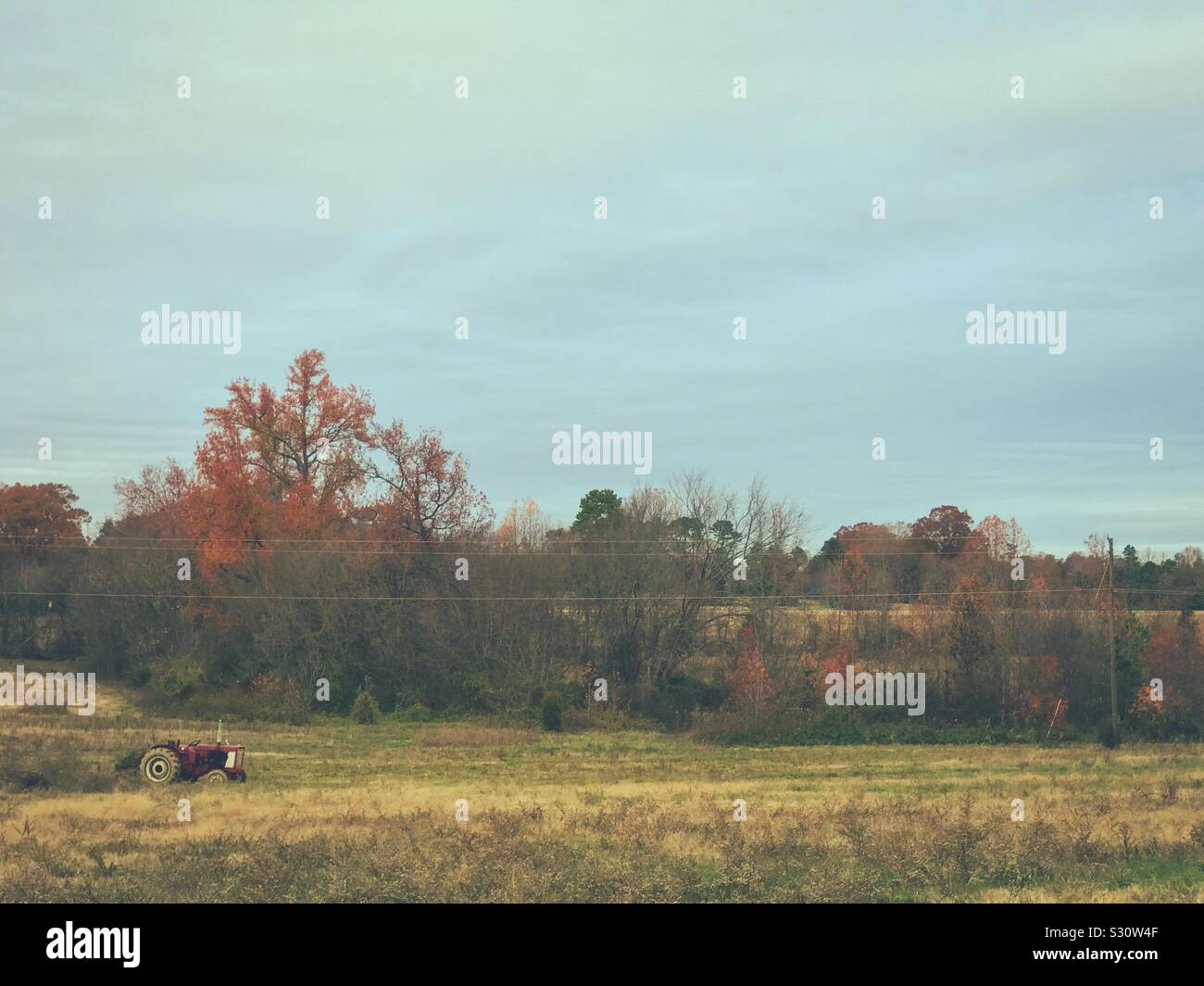 Red tractor in farm field with autumn treeline behind Stock Photo - Alamy