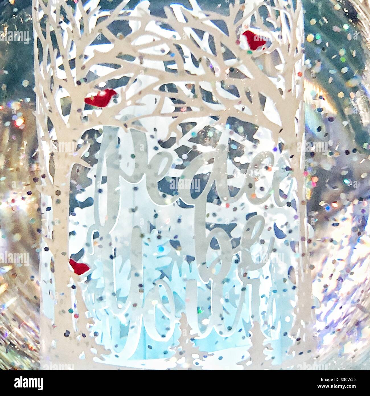 Peace trees hi-res stock photography and images - Alamy