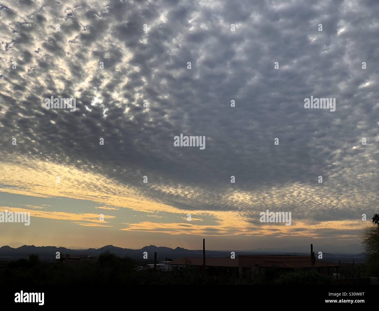 Bursting with color hi-res stock photography and images - Alamy