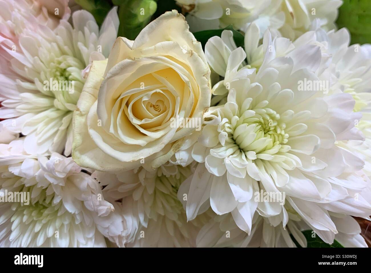 Beautiful fresh white rose set in a bouquet of gorgeous perfect white ...