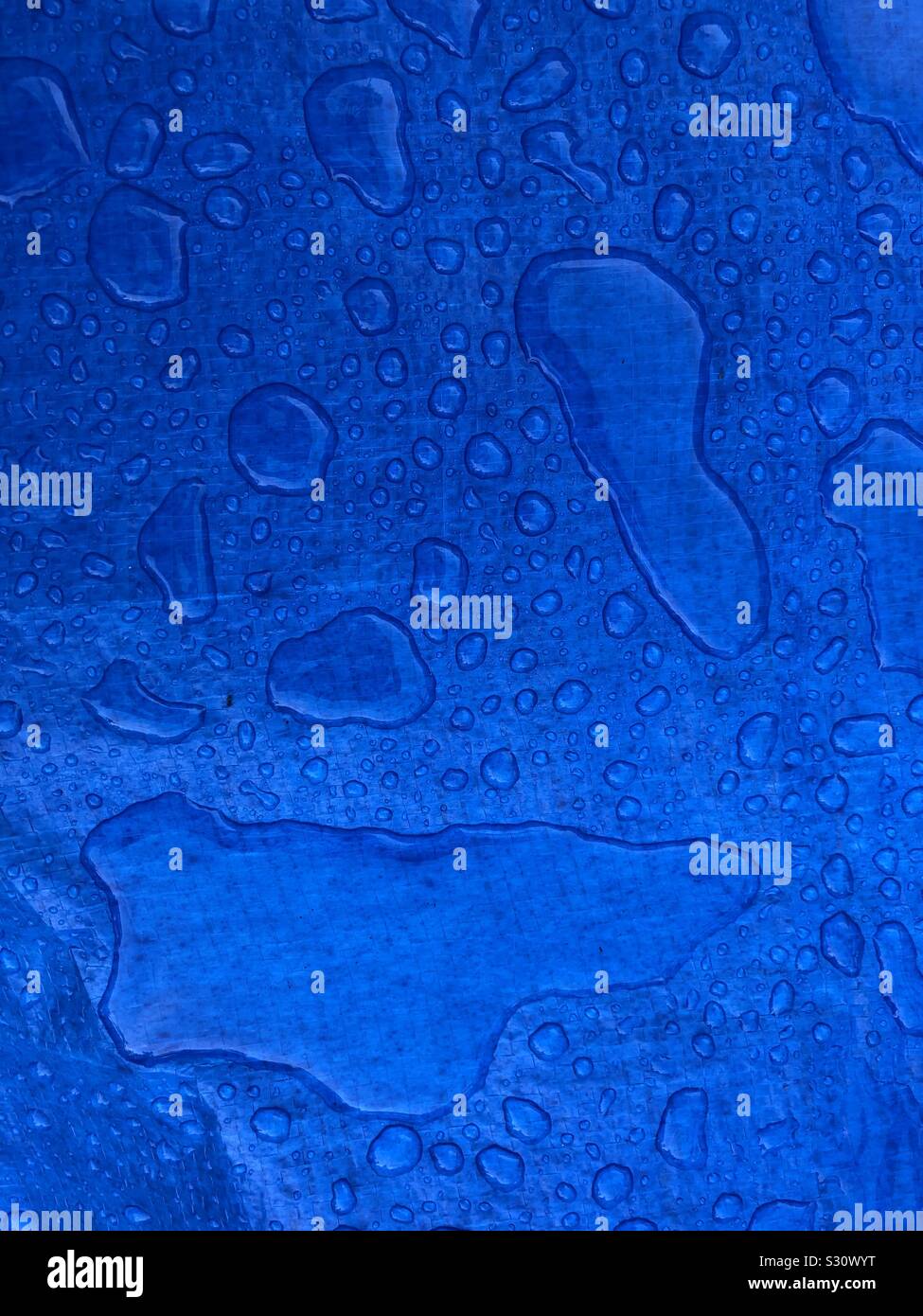 Trapal hi-res stock photography and images - Alamy