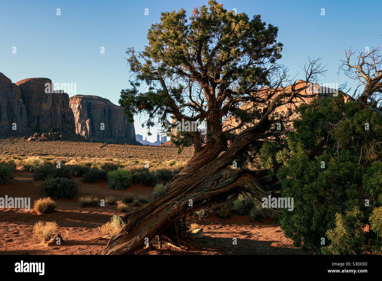 Juniper valley park hi-res stock photography and images - Alamy