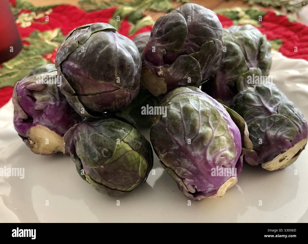 Purple sprouts hi-res stock photography and images - Alamy
