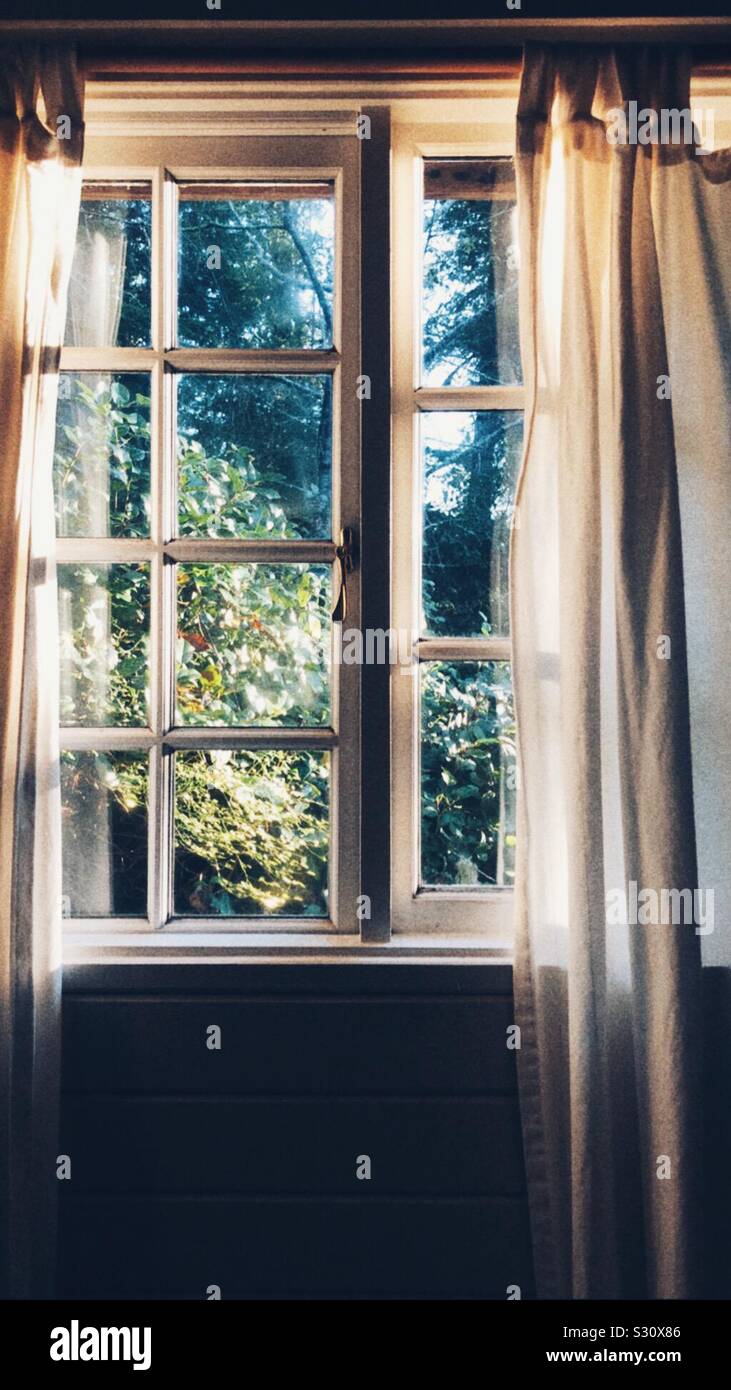 Window into the nature Stock Photo - Alamy