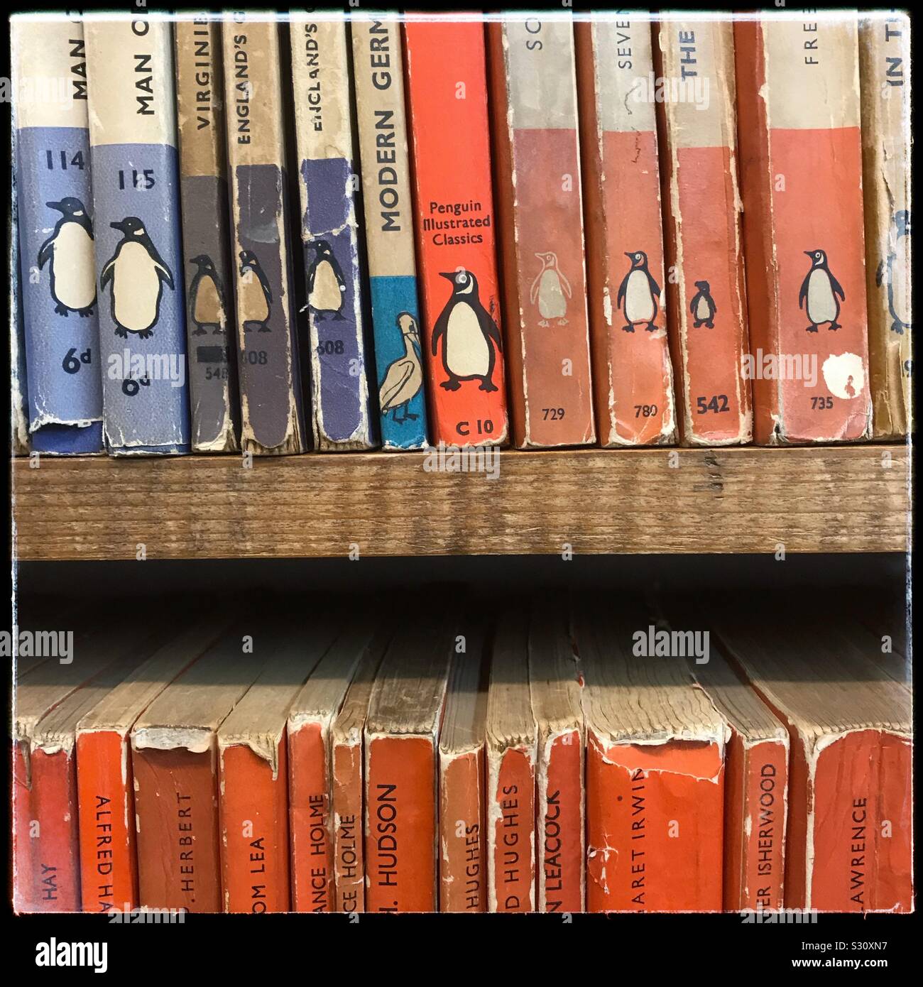 Penguin publisher hi-res stock photography and images - Alamy