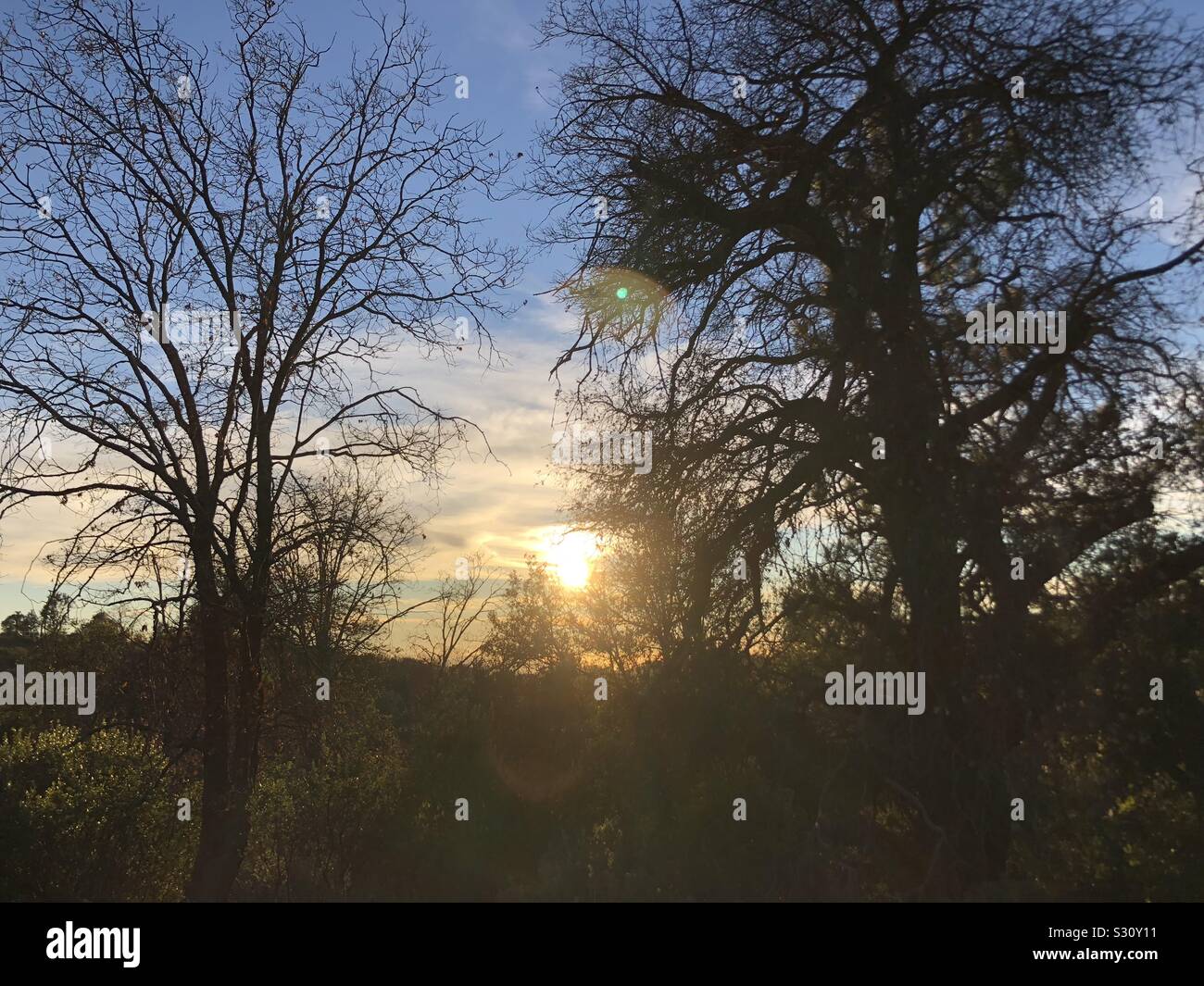 Winter sunset through trees hi-res stock photography and images - Alamy