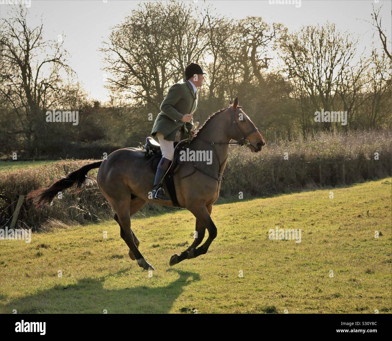 Horse rider out fox hunting. UK Stock Photo - Alamy