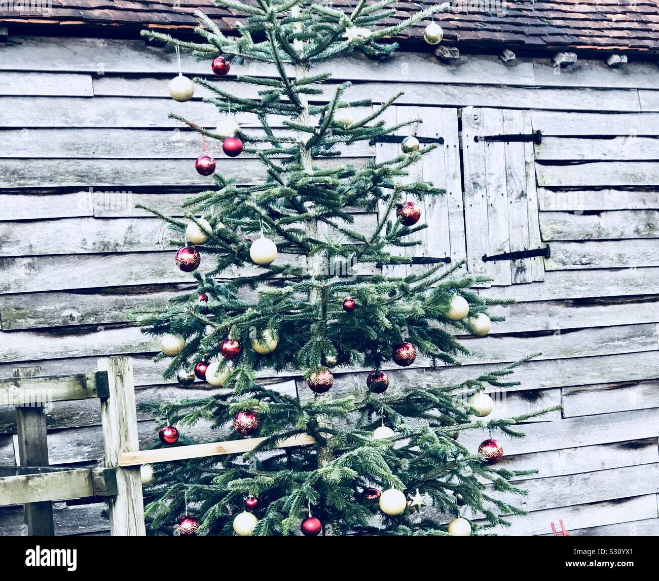 Old barn with tree hi-res stock photography and images - Alamy