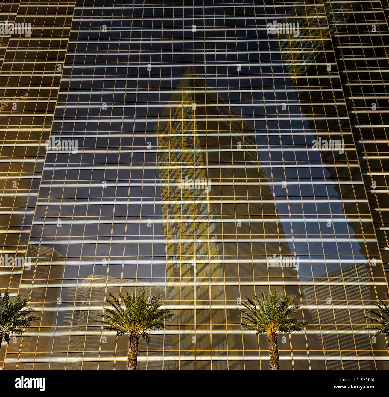 Modern architecture glass palm trees smartphone stock photos and images ...