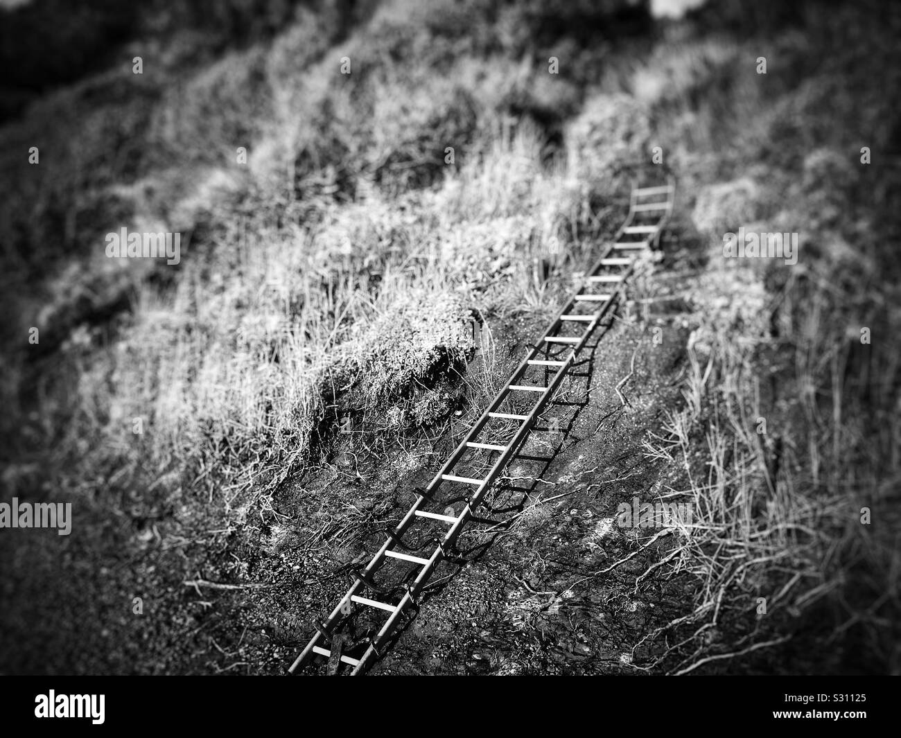 Ladder cliff hi-res stock photography and images - Alamy