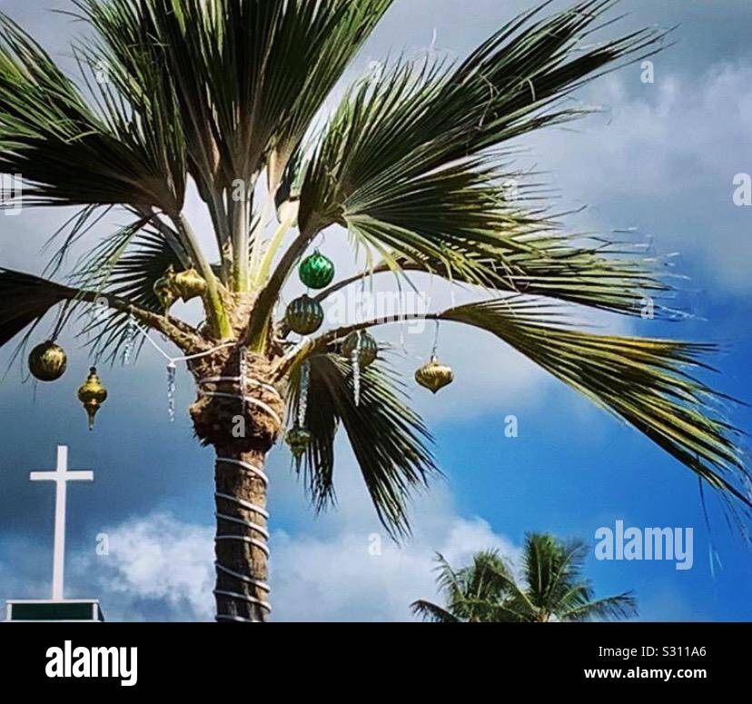 Decorated palm tree hi-res stock photography and images - Alamy