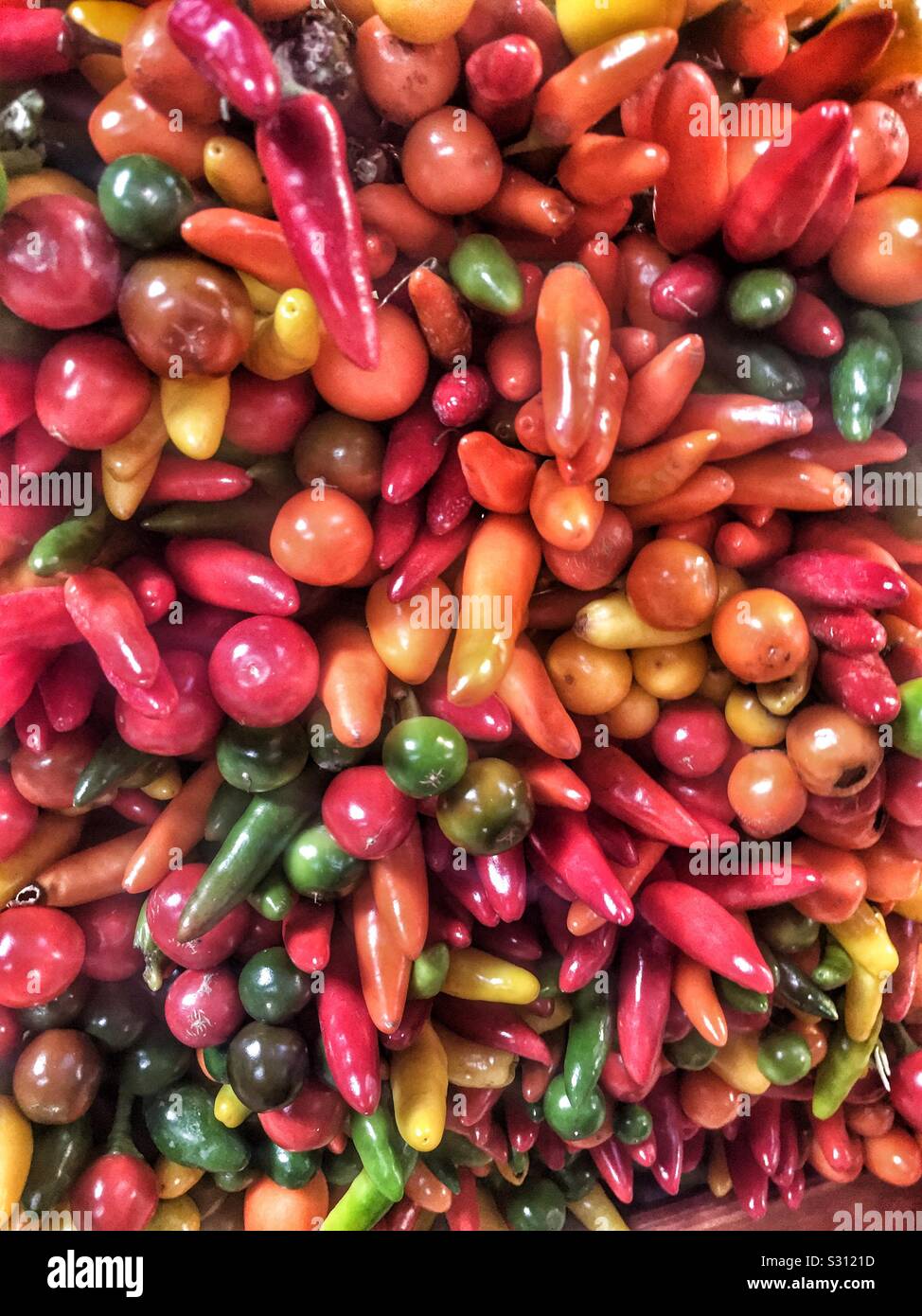Variety of chilli hi-res stock photography and images - Alamy