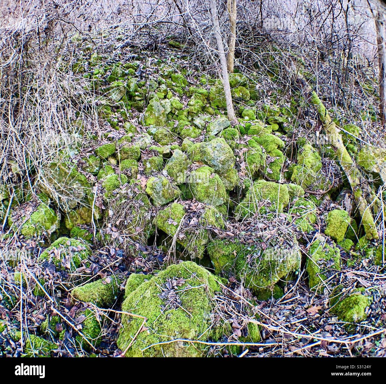 Green covered rocks hi-res stock photography and images - Alamy