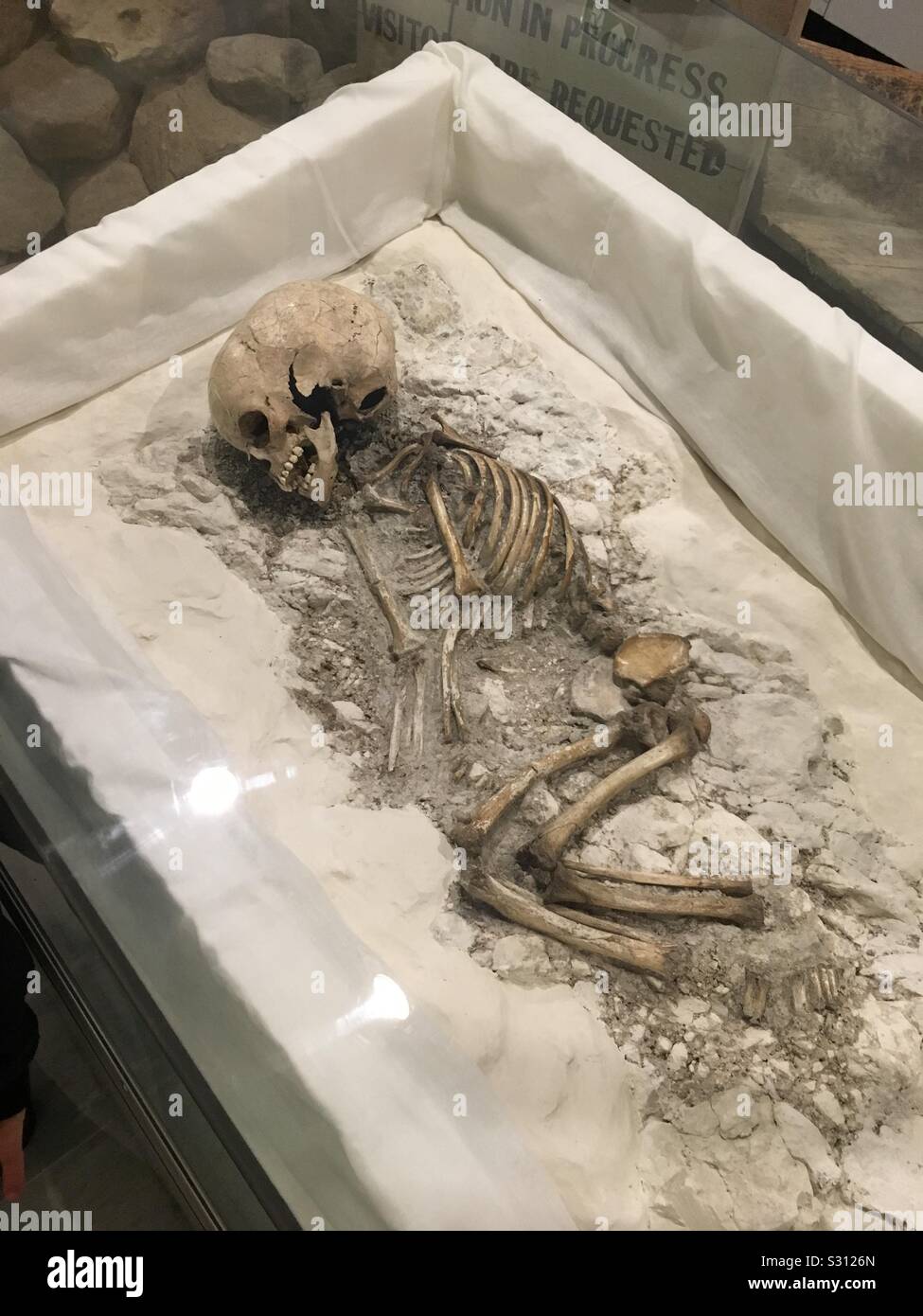 Child skeleton hi-res stock photography and images - Alamy