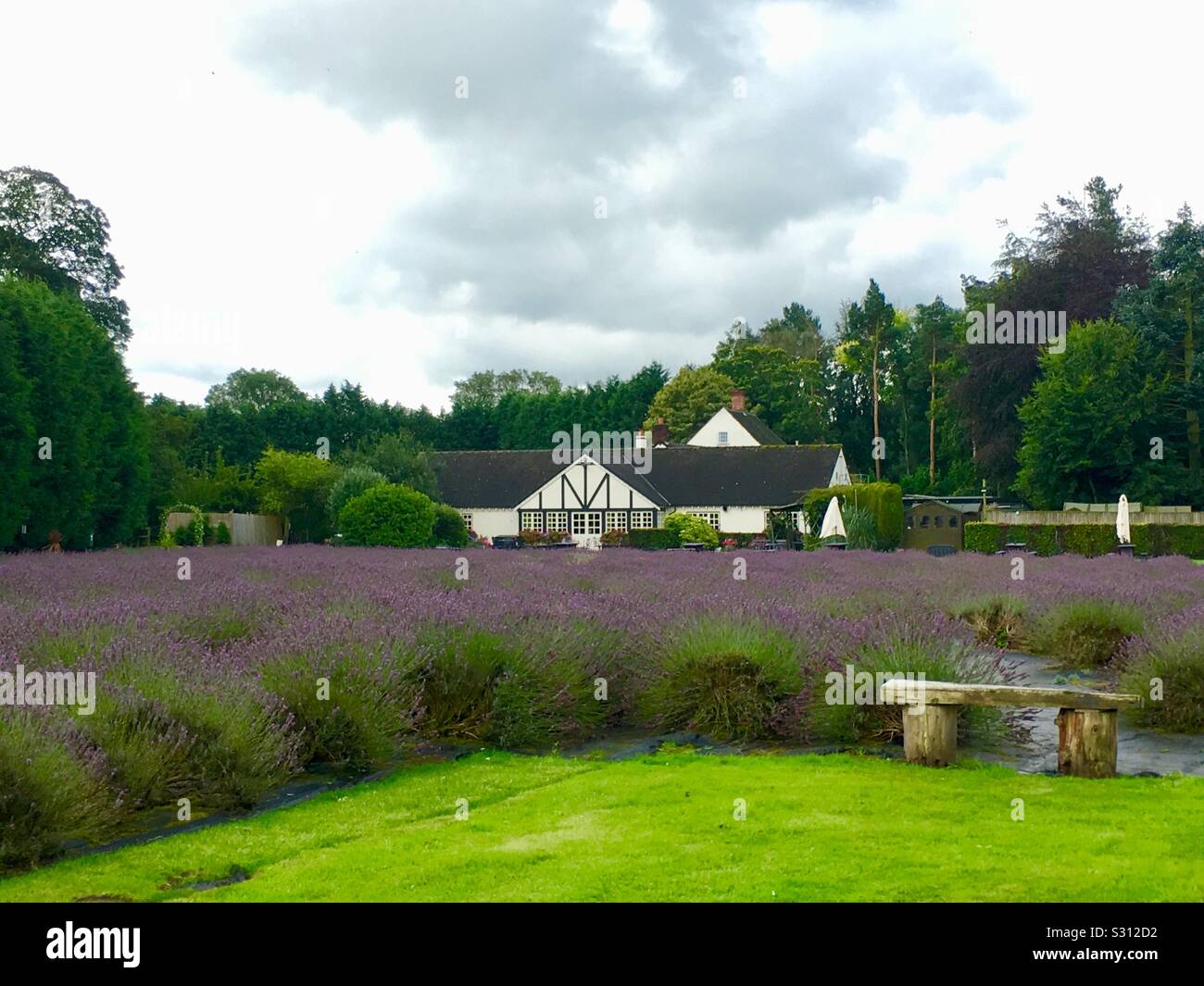Open fields of lavender hi-res stock photography and images - Alamy
