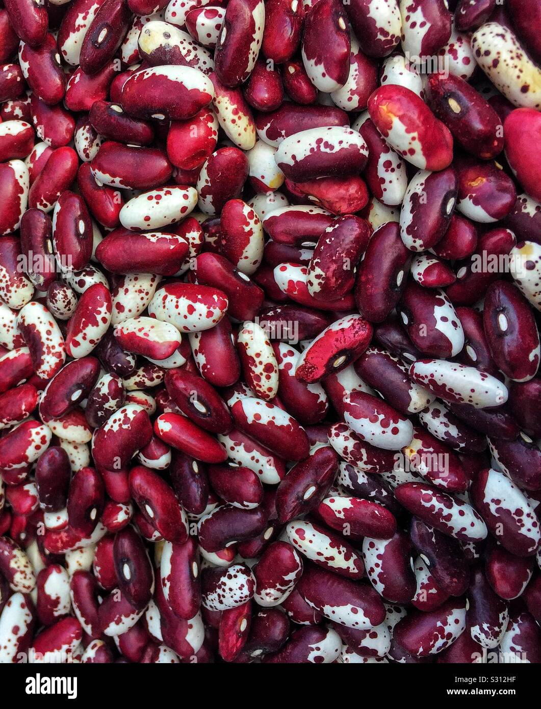 Shiny mottled hi-res stock photography and images - Alamy