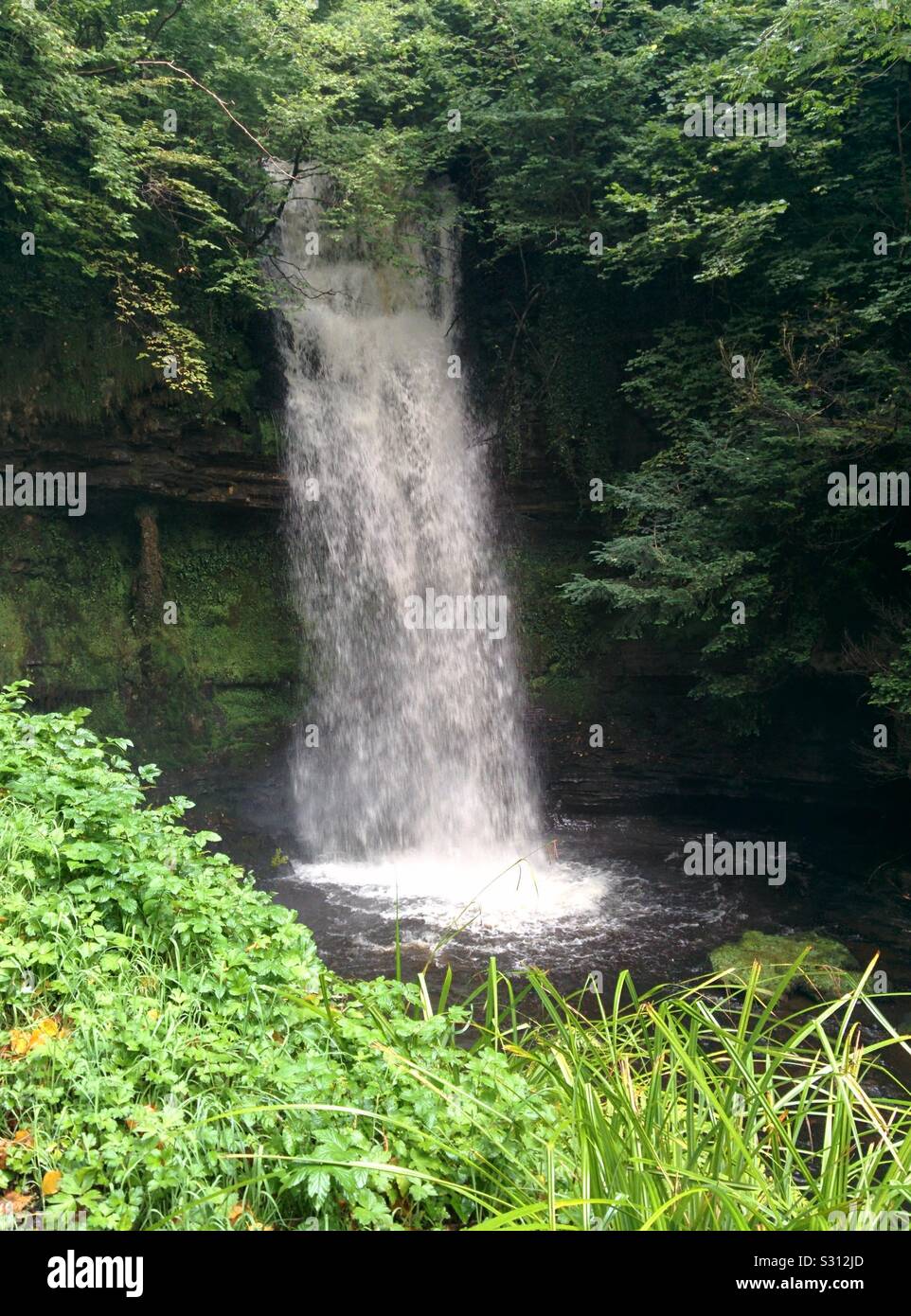 Wetland waterfall hi-res stock photography and images - Alamy