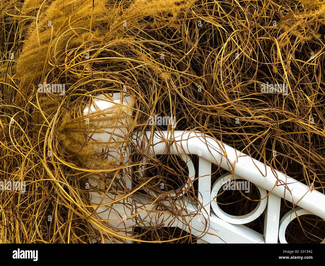 Grass railing hi-res stock photography and images - Alamy