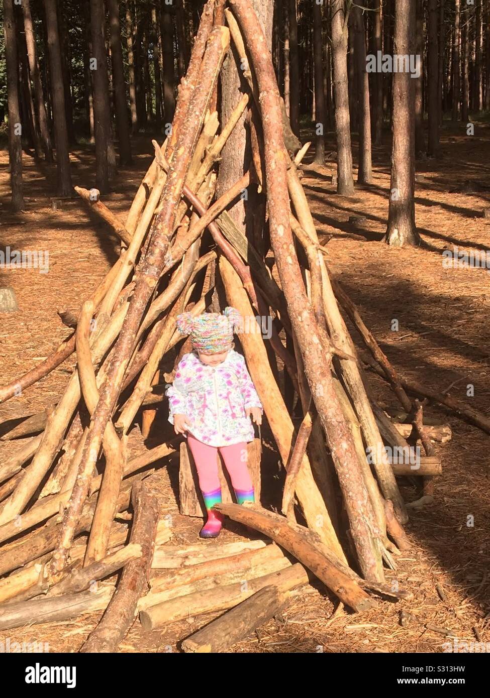 Den wood hi-res stock photography and images - Alamy