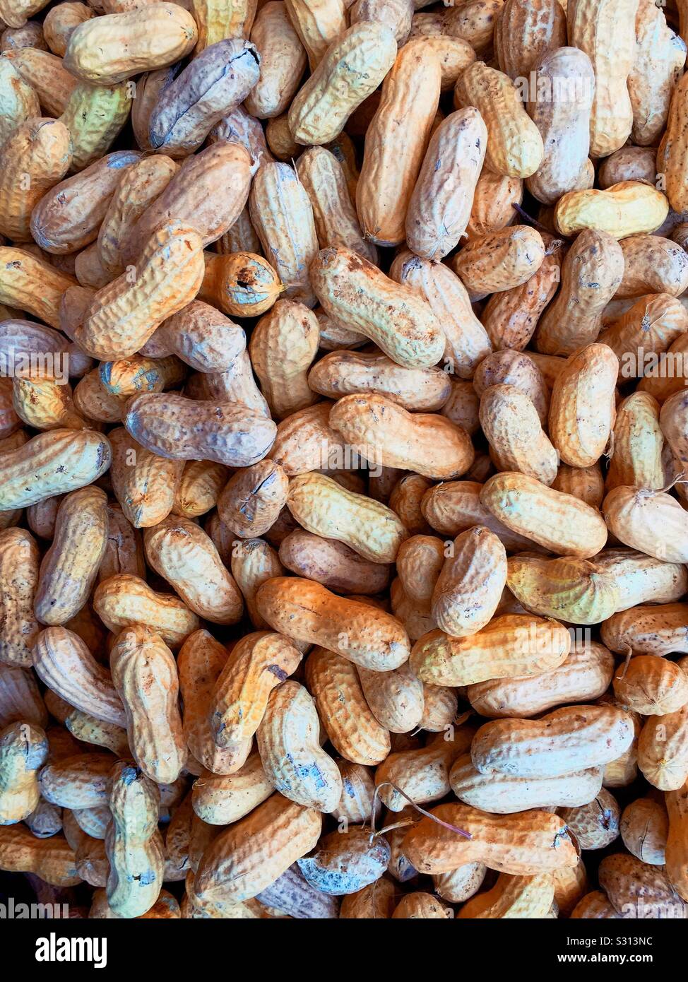 Flat lay of a bin of unshelled fresh peanuts Stock Photo - Alamy