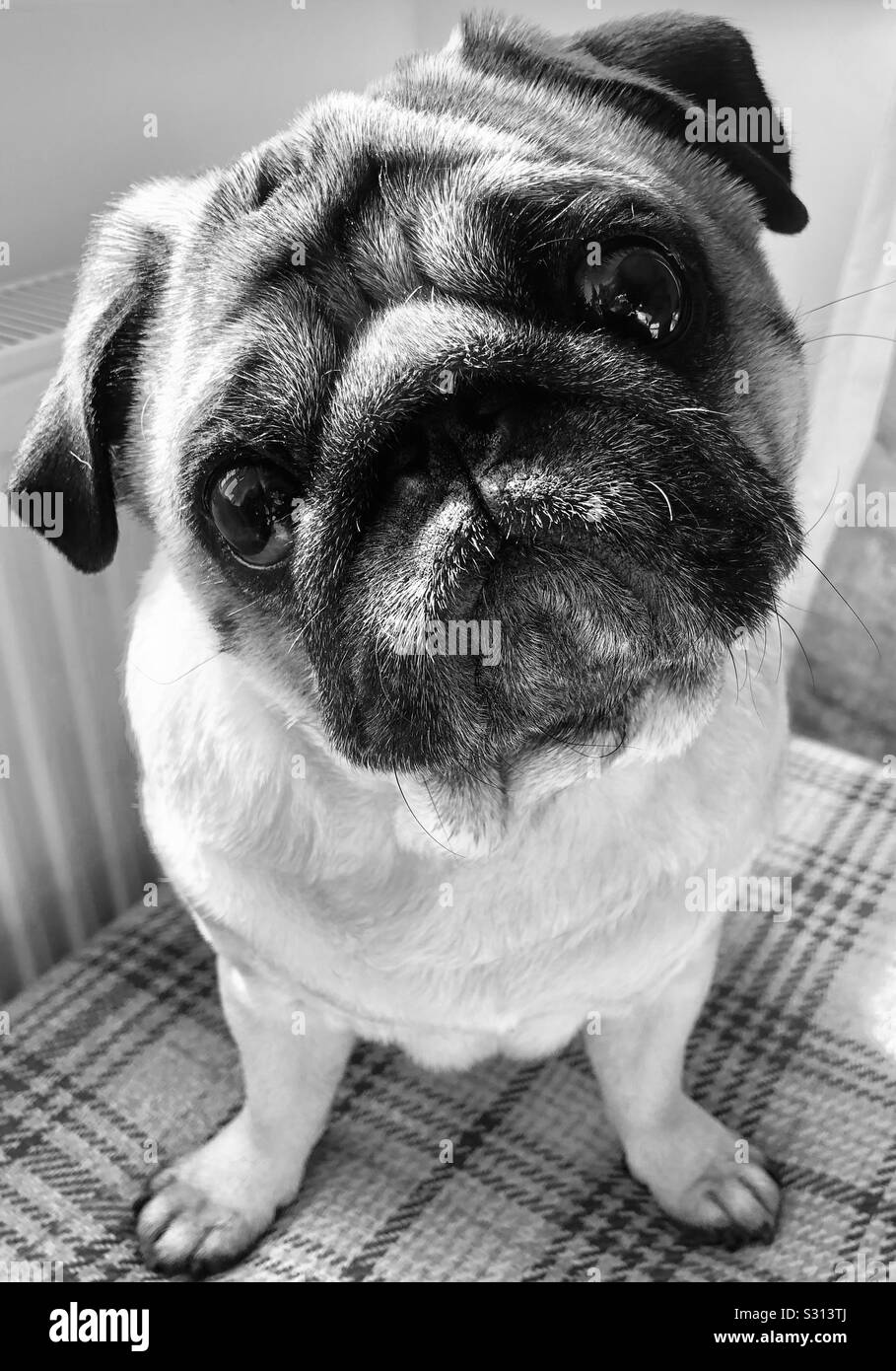 Waiting by the window hi-res stock photography and images - Alamy