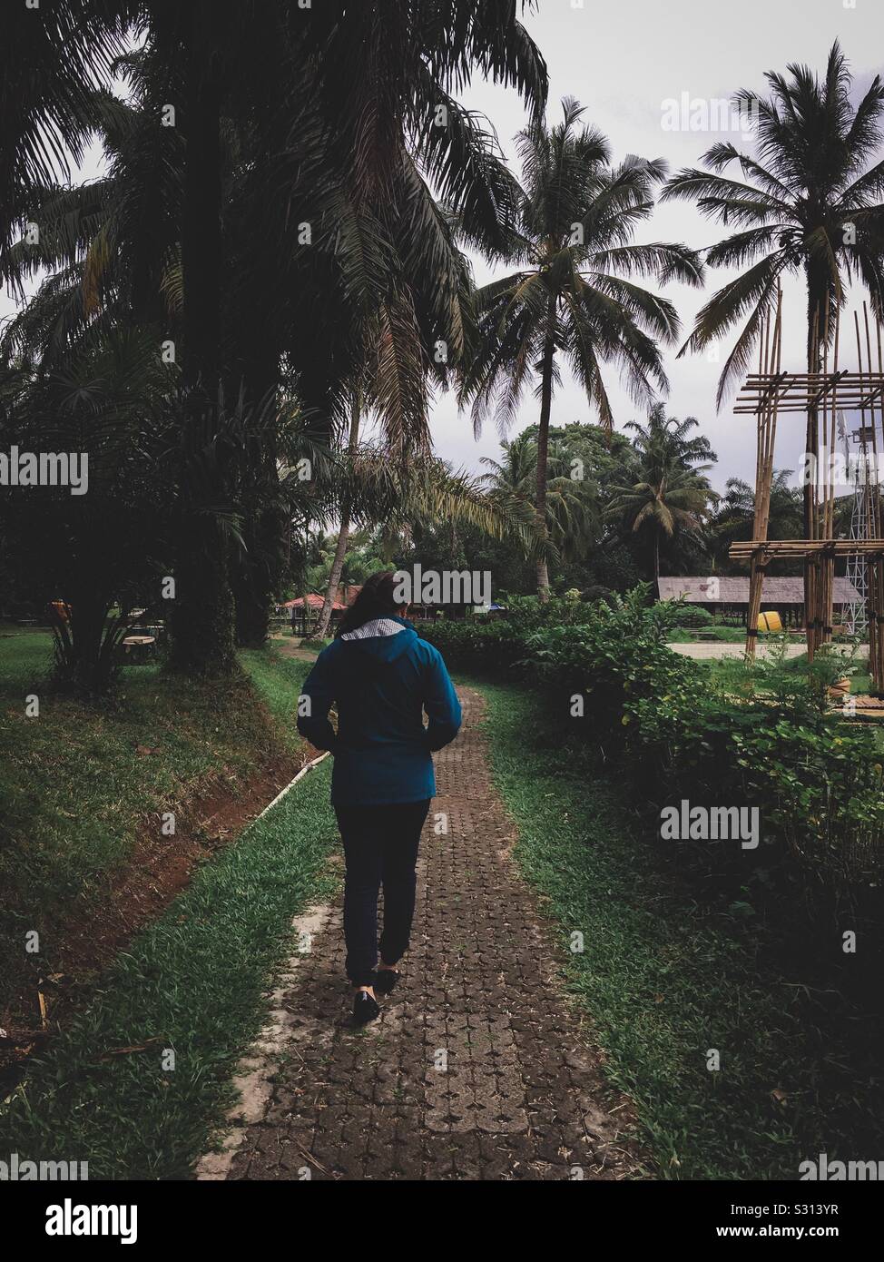 Walking alone park hi-res stock photography and images - Alamy