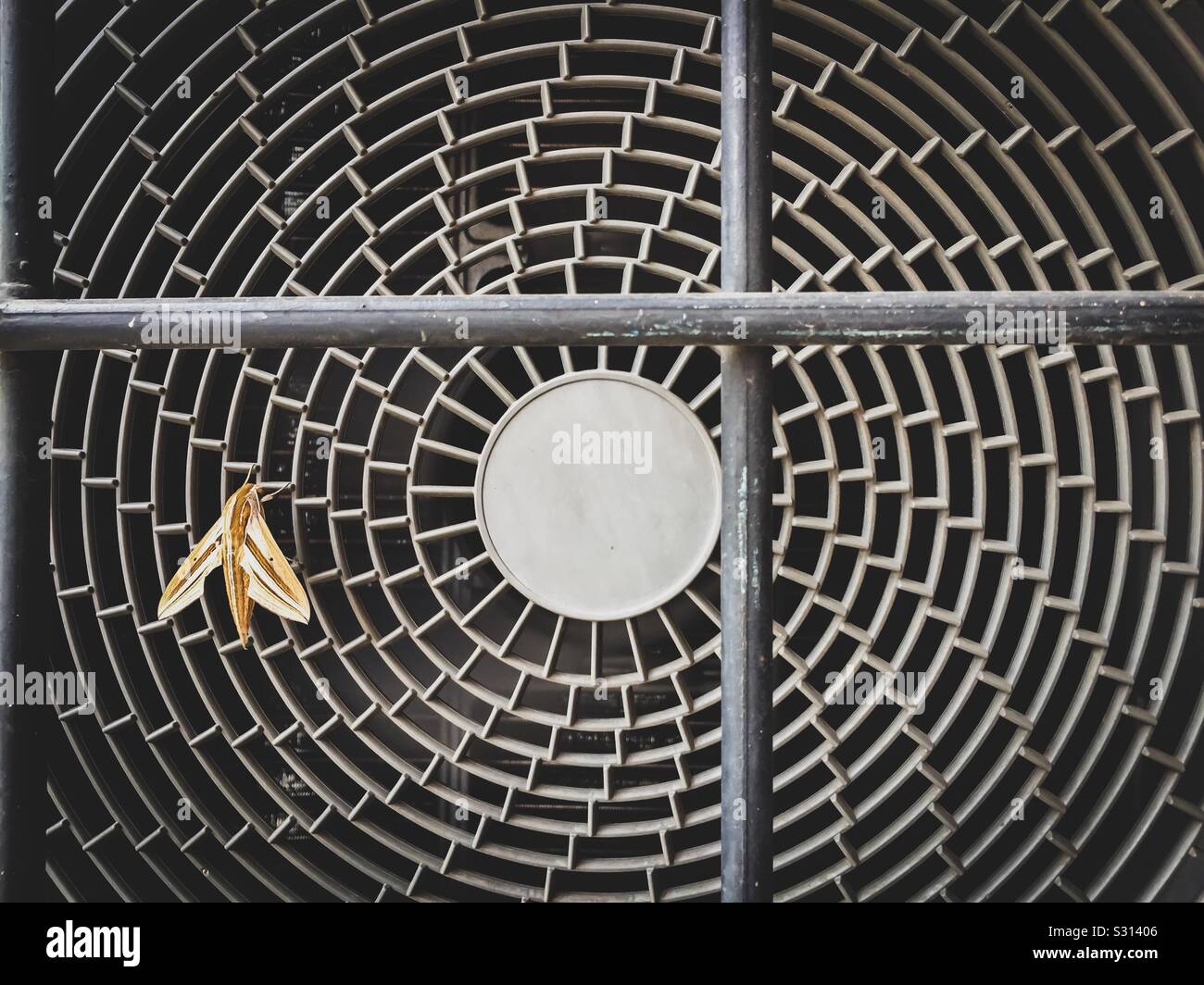 Fan Pattern High Resolution Stock Photography and Images - Alamy