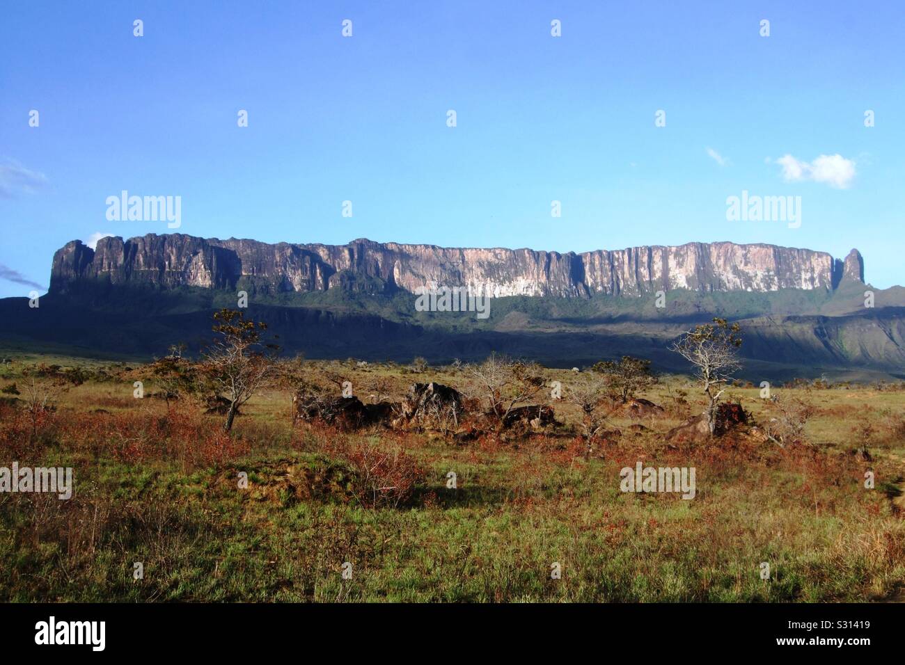 Tepui roraima hi-res stock photography and images - Alamy
