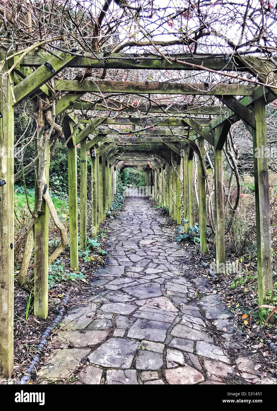 Long winter pathway hi-res stock photography and images - Alamy