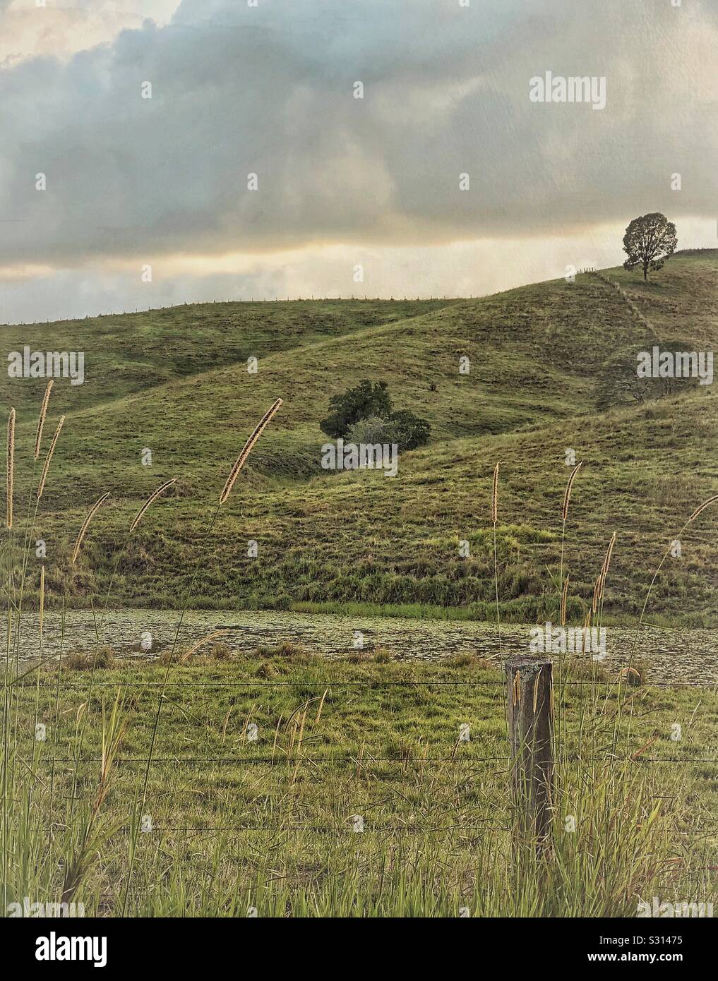 Country Queensland Australia Stock Photo - Alamy