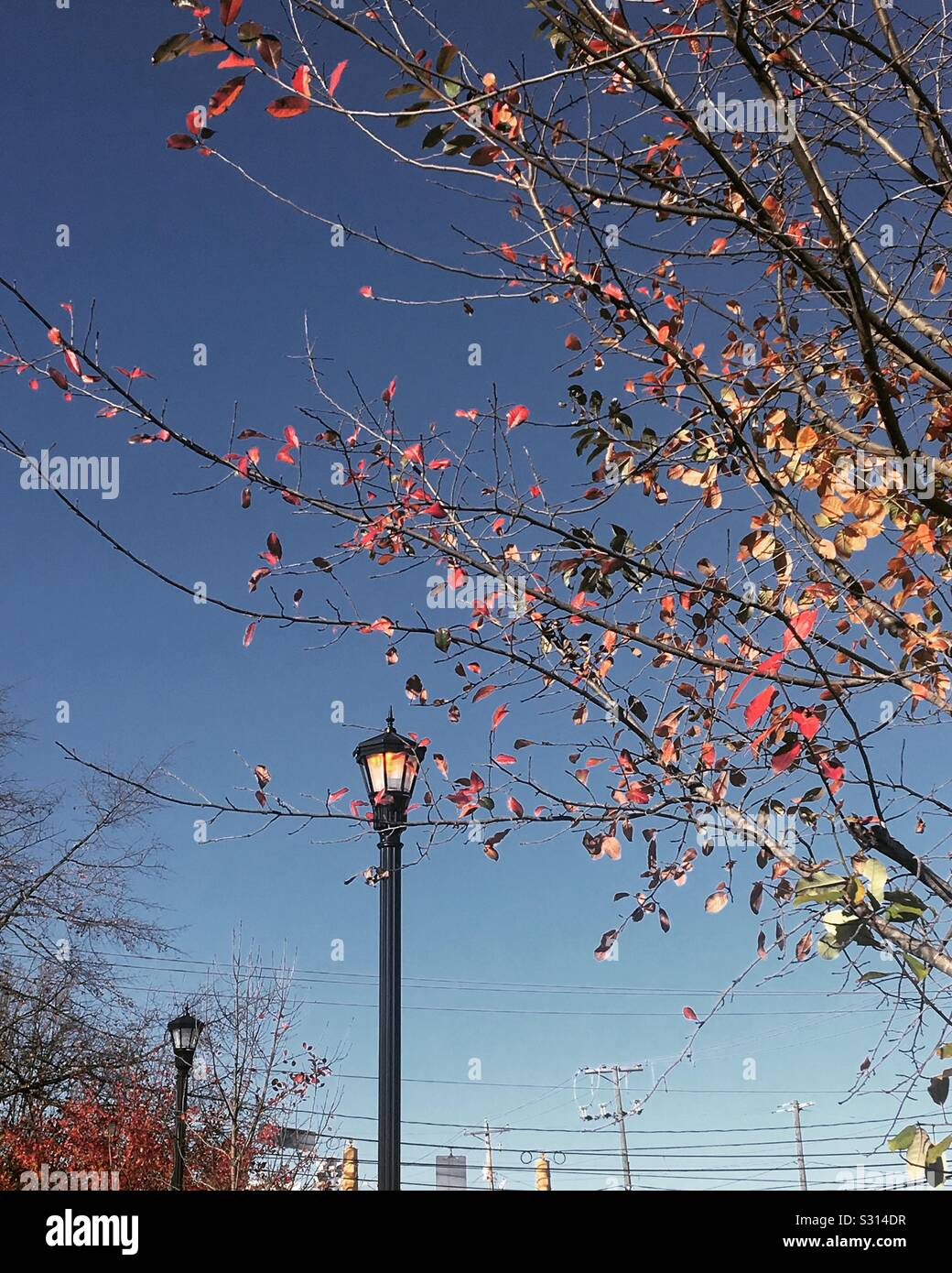 Columbia south carolina night hi-res stock photography and images - Alamy