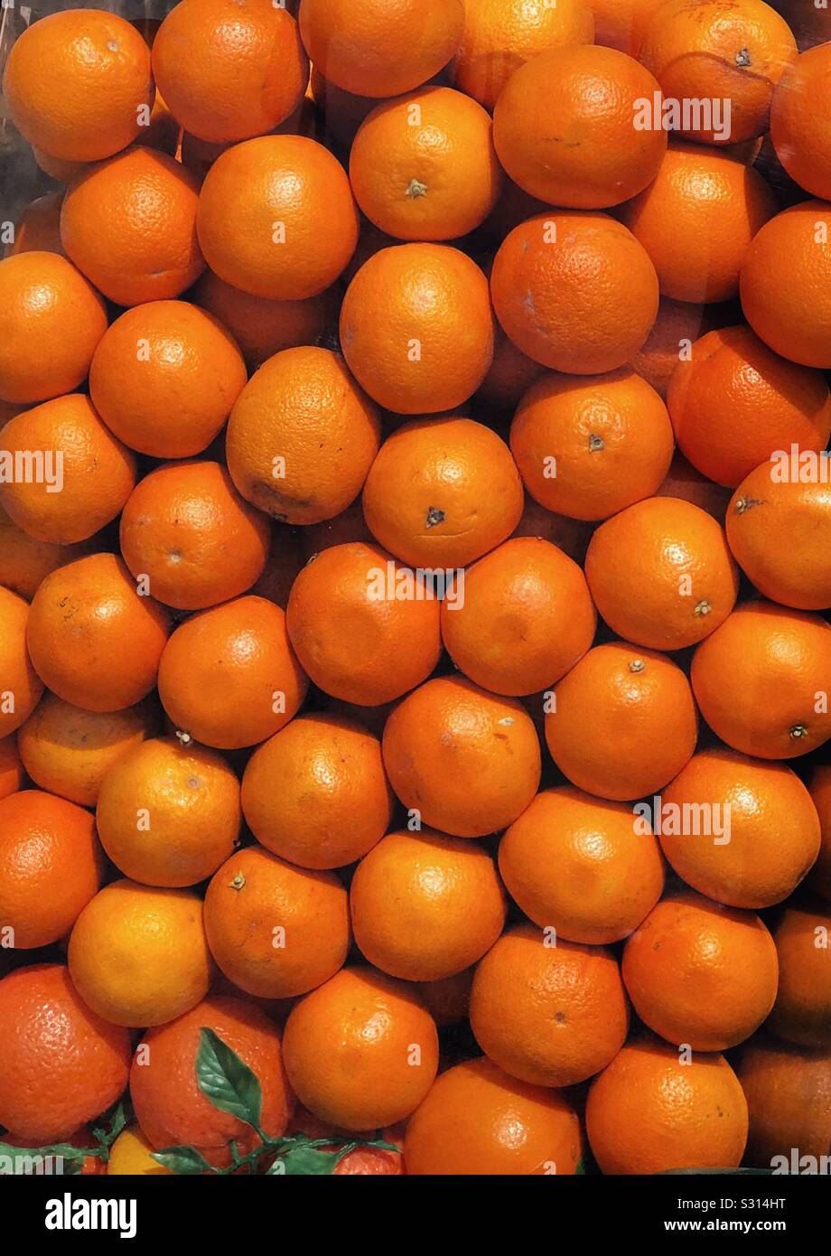 Pile of fresh valencia oranges ready to be squeezed Stock Photo - Alamy