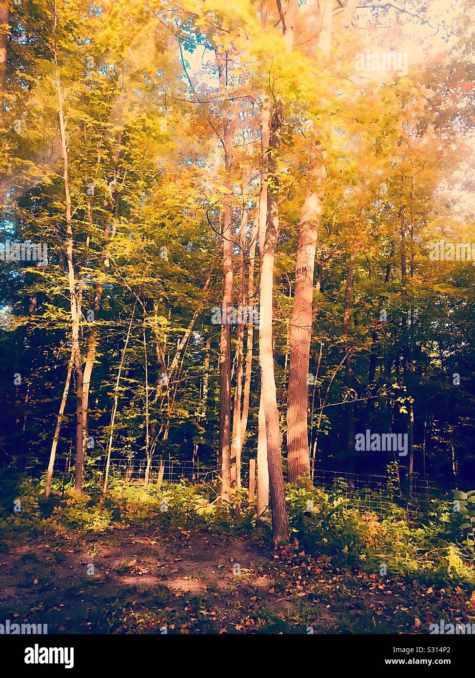 Good lighting hi-res stock photography and images - Alamy