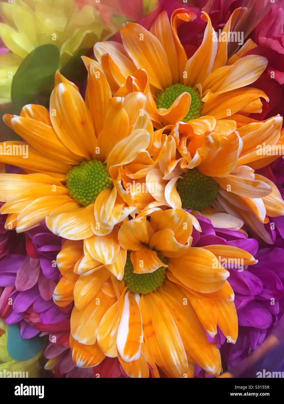 Pretty colorful hi-res stock photography and images - Alamy